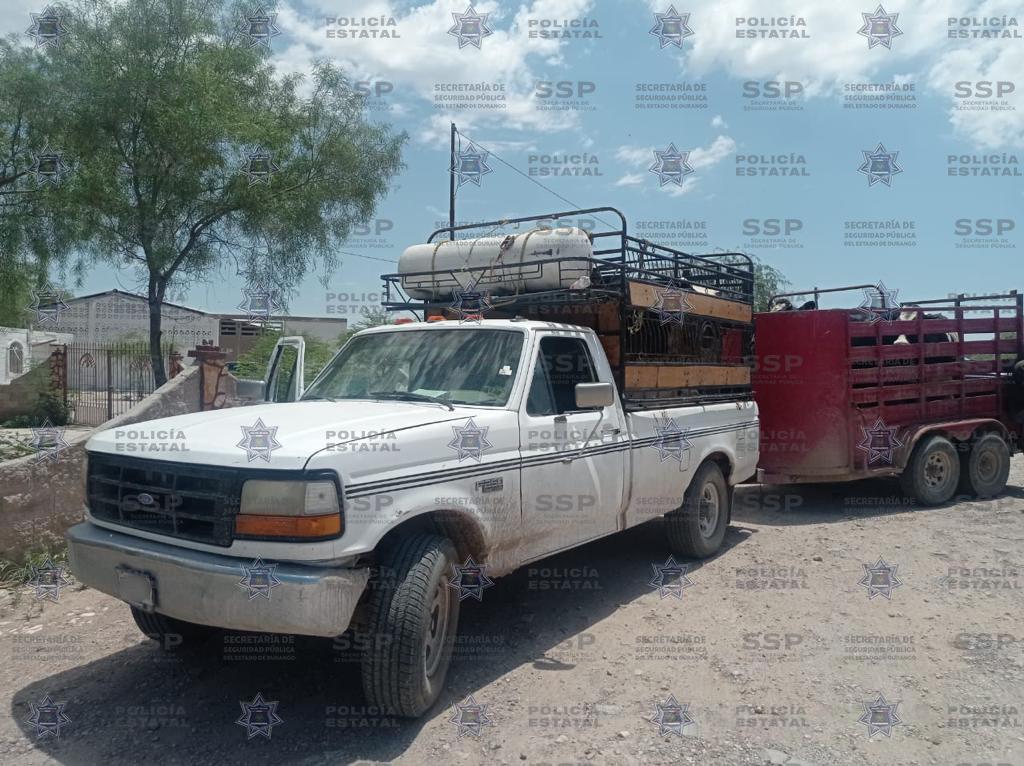 Los atraparon movilizando ganado presuntamente robado | Contacto Hoy